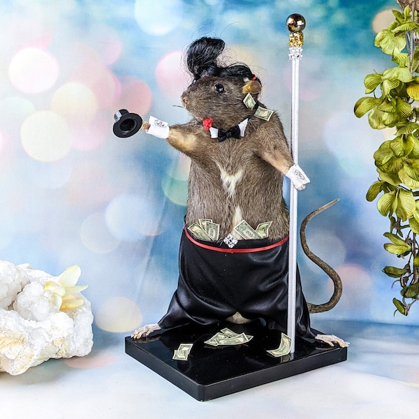 Stripper Rat - Etsy