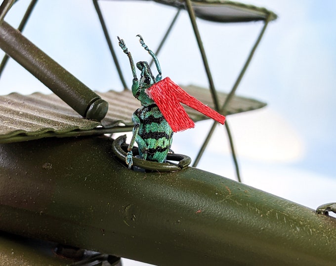 Weevil Aviator Airplane Pilot Anthropomorphic Taxidermy Oddities ...