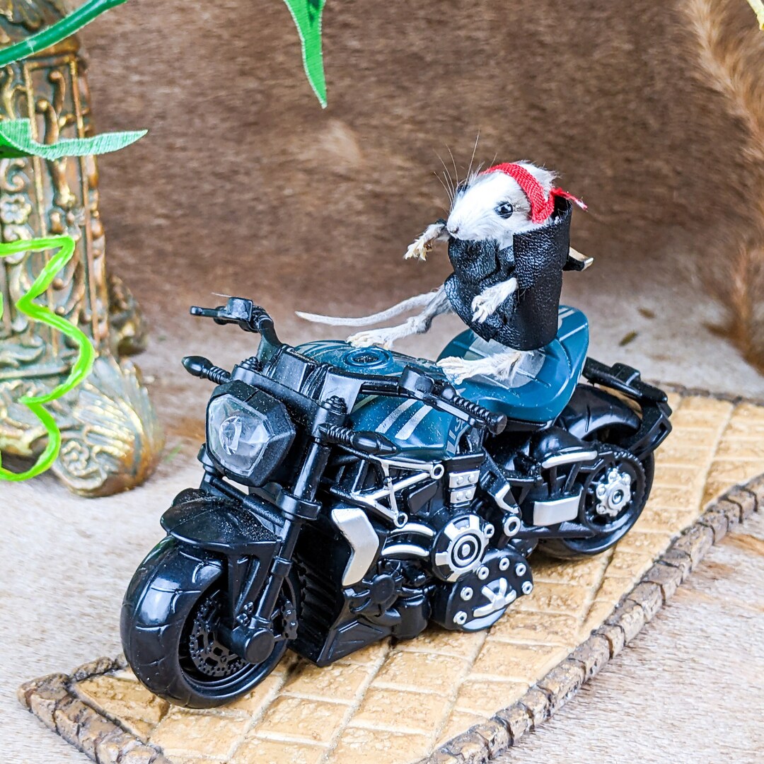 Motorcycle Biker Mouse Chopper Taxidermy Anthropomorphic Collectible ...