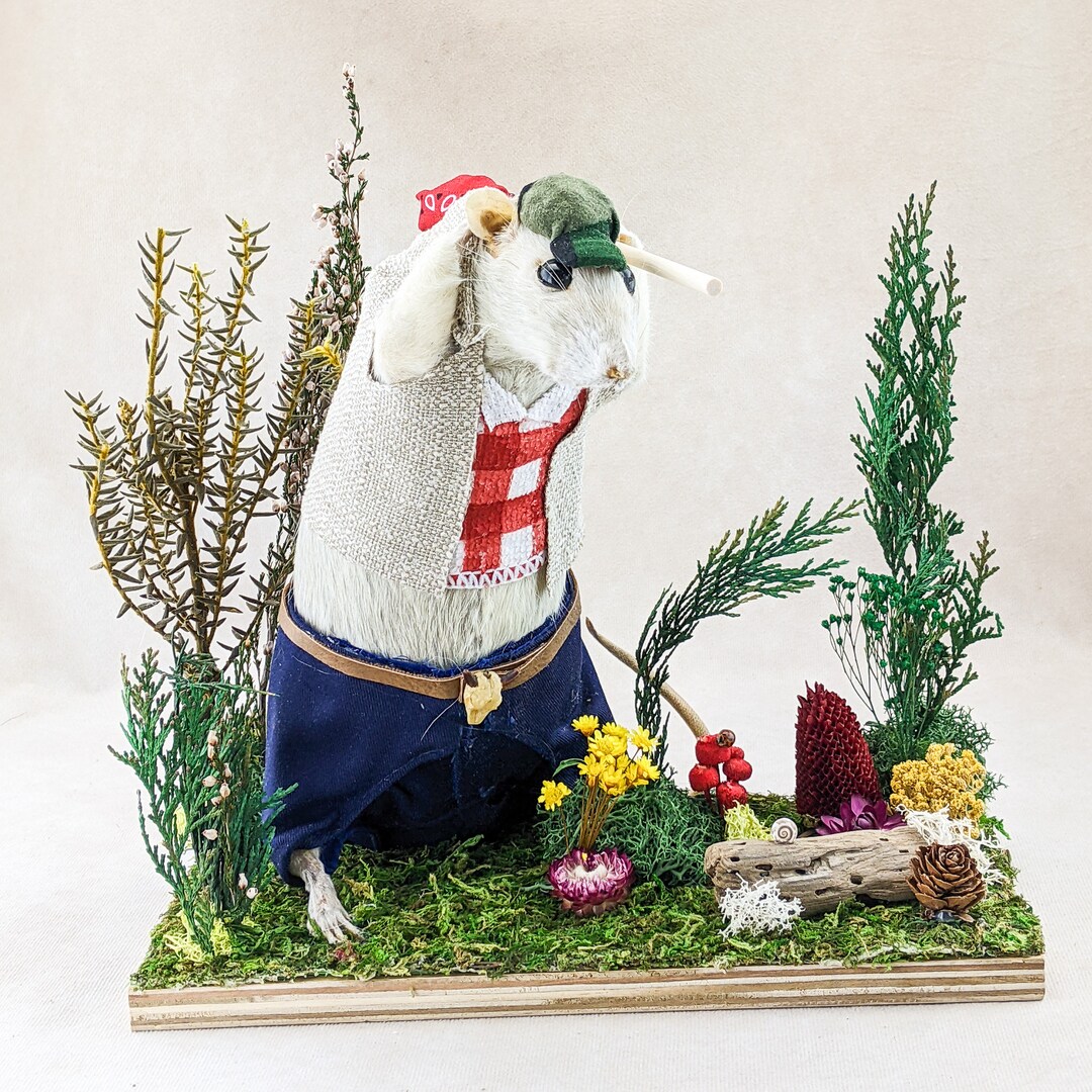 Rodney the Hobo Rat Taxidermy Décor Oddities Curiosity Specimen Display ...