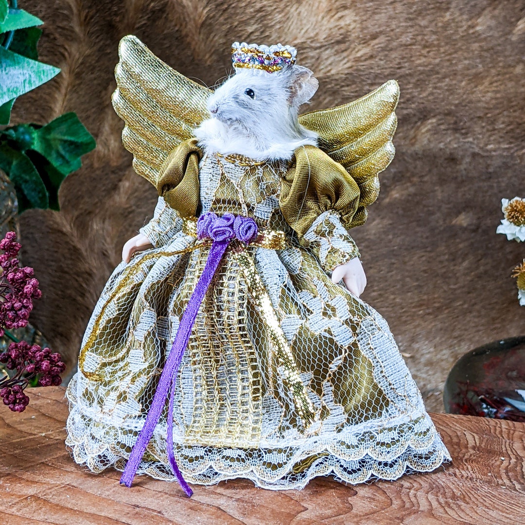 W214 Angel Doll Mouse Taxidermy Display Oddities Curiosities - Etsy