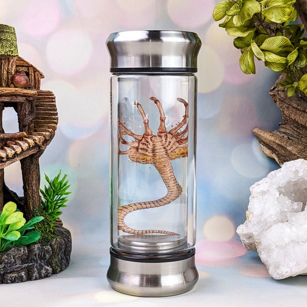 Alien Jar Xenomorph Specimen - Etsy