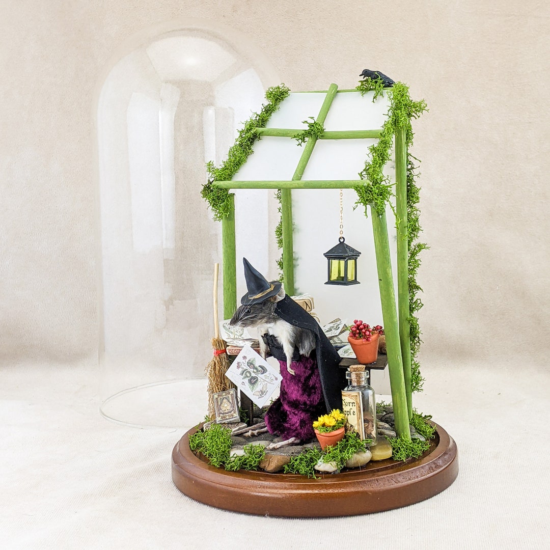 Greenhouse Witch Mouse Dome Collectible Taxidermy Oddities Curiosities ...