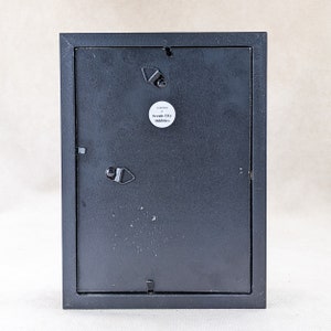 Saturn Atlas Moth Frame Specimen Entomology Taxidermy Curiosities ...