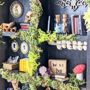 Fairy Bookcase Haunted Witches Cabinet Miniature Spooky Oddities ...