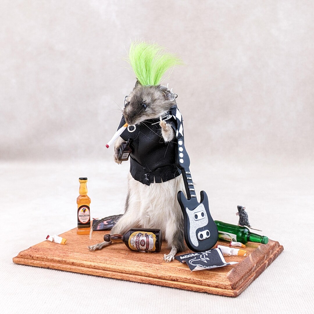 Punk Rock Mouse Cute Taxidermy Oddities Curiosities Mohawk Rocker ...