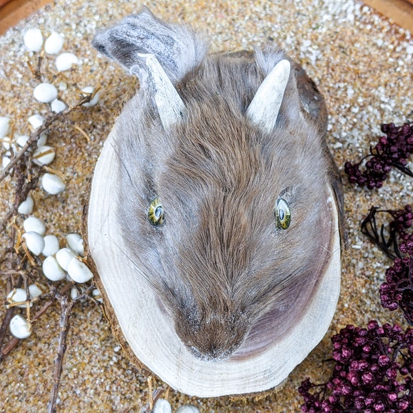 Jackalope Head - Etsy