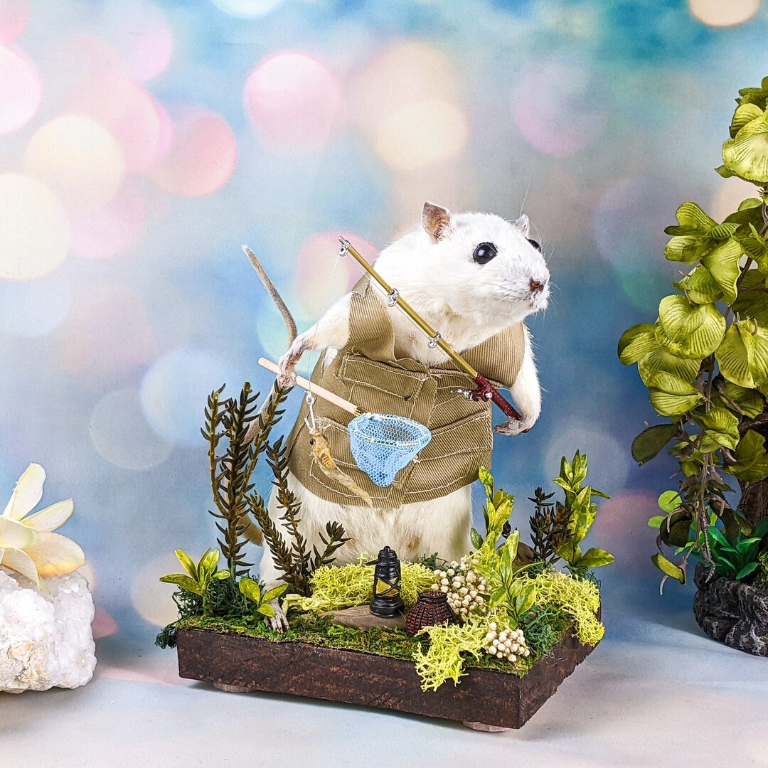 Fishing Rat Taxidermy Specimen Fish Display Oddities Curiosity ...