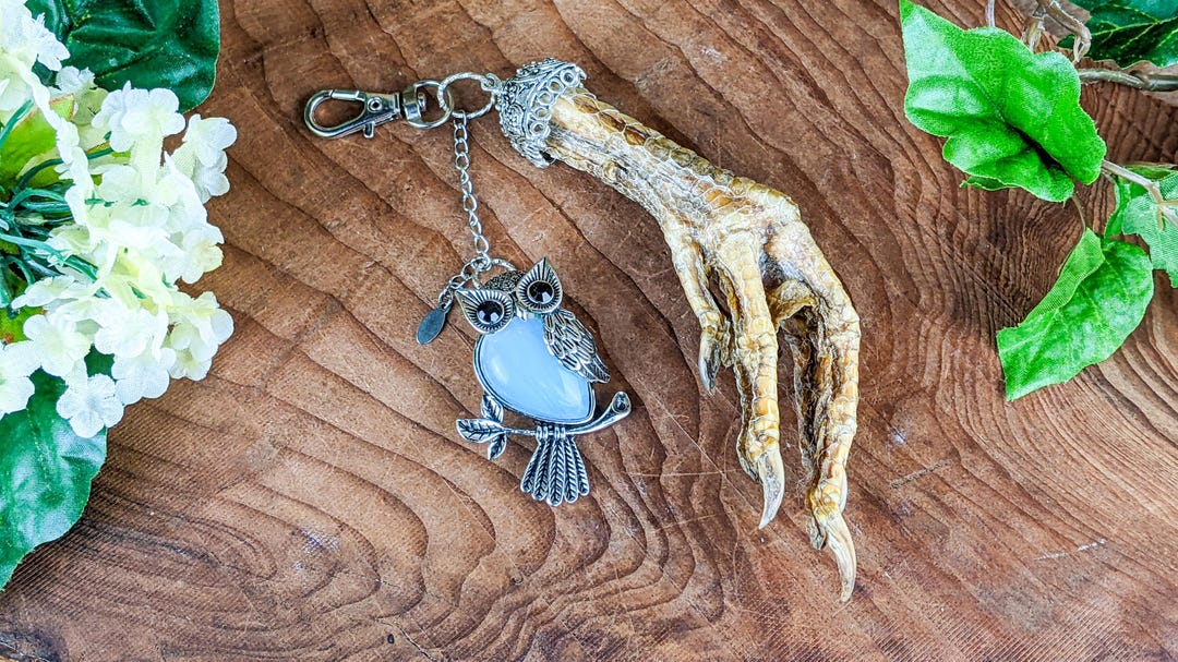 Chicken Foot Hook & All Seeing Eye Owl Charm Talisman Taxidermy ...