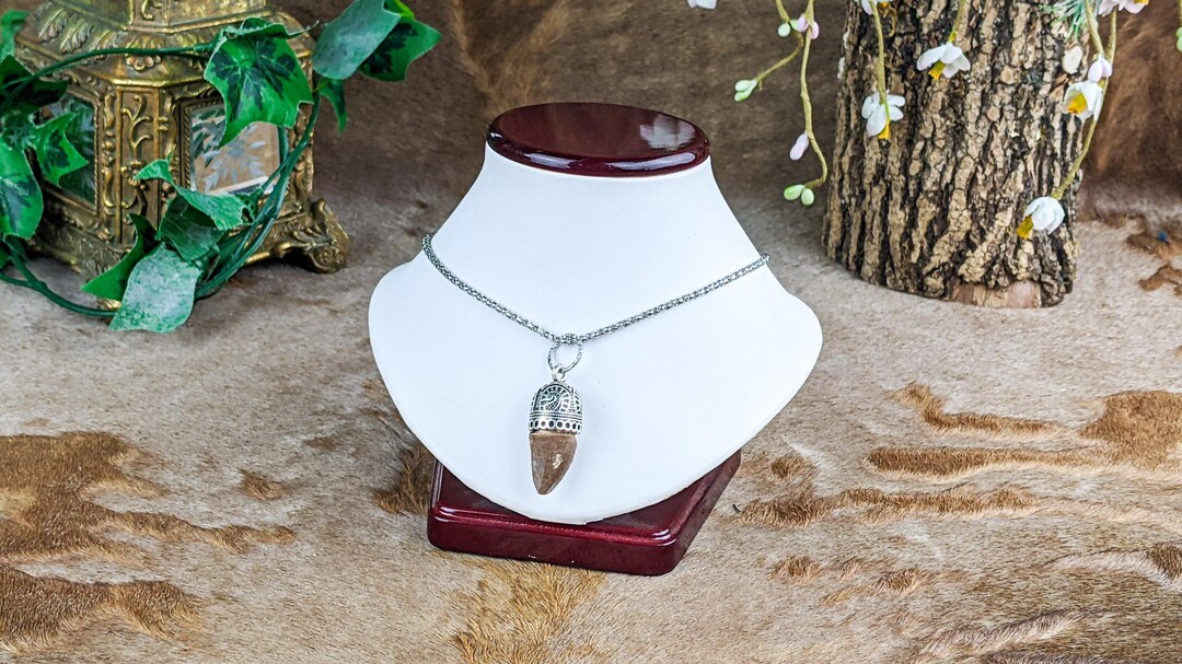 Dinosaur Tooth Necklace Real Mosasaur Fossil Dino Tooth Jewelry Oddity ...