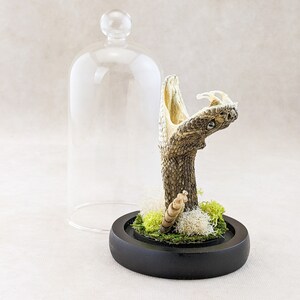V32c Rattlesnake Snake Head & Tail Taxidermy Oddities Curiosities Glass ...