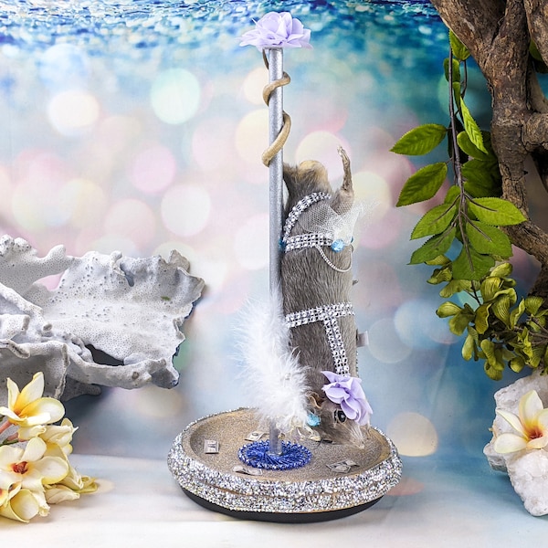 Stripper Taxidermy - Etsy