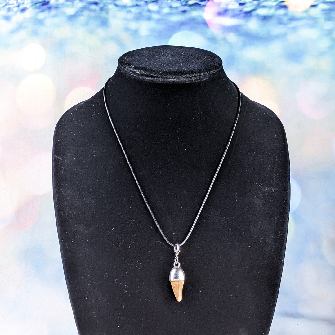 D6b Dinosaur Tooth Real Mosasaur Fossil Dino Tooth Necklace Jewelry ...