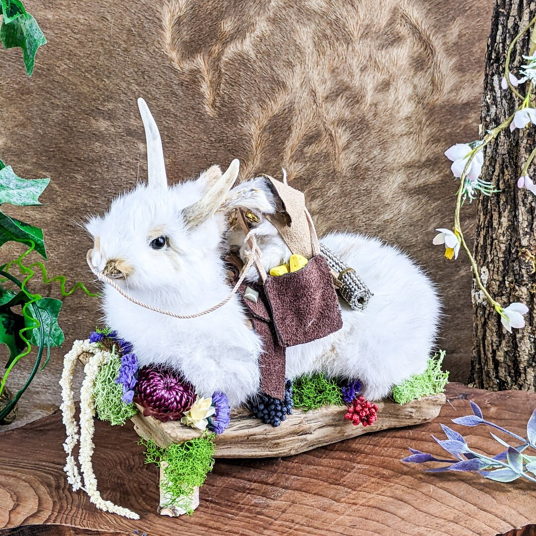 Jackalope and Mouse Rider Driftwood Display Rabbit Steed Taxidermy ...
