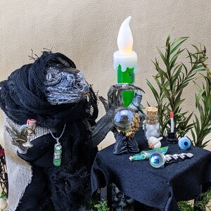 Iguana Warlock Taxidermy Display Oddities Curiosities Witchy Reptile ...