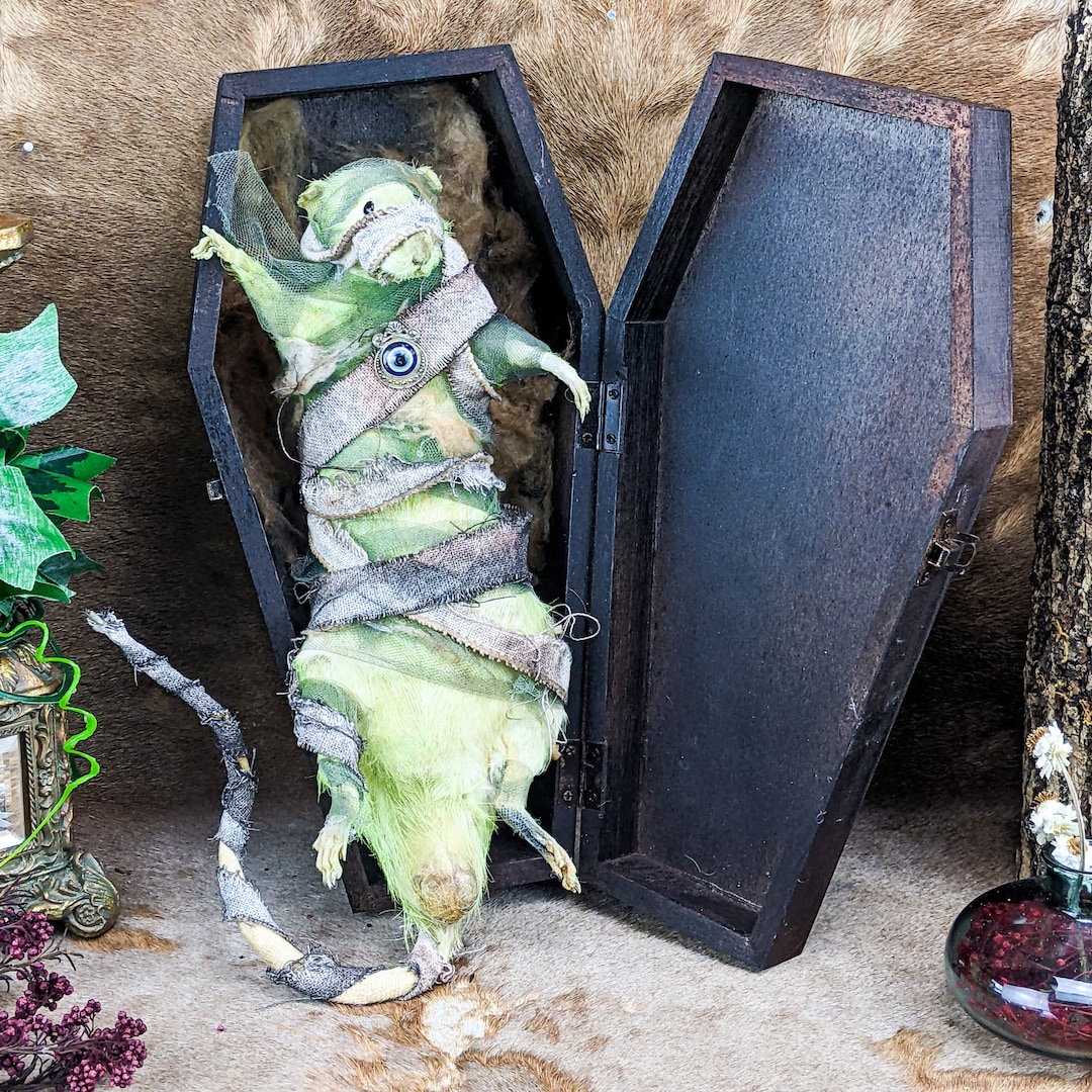 Rat Mummy Coffin Zombie Taxidermy Oddities Curiosities Old Hollywood ...