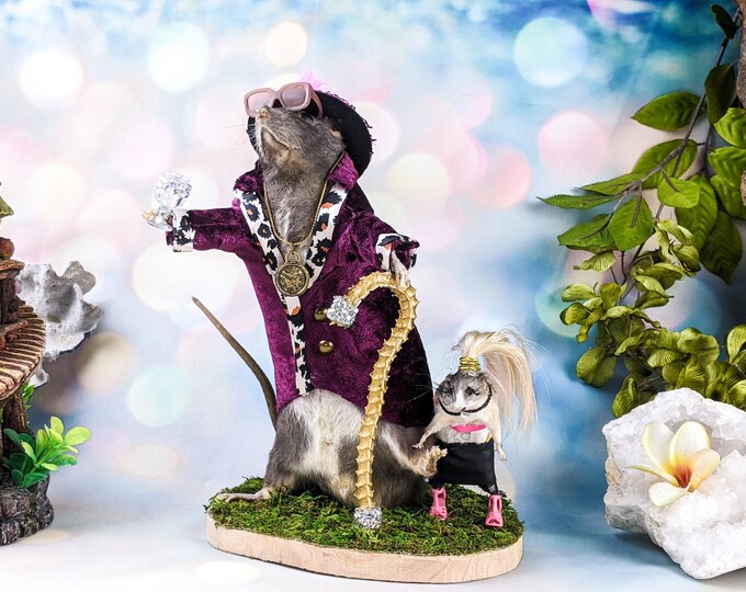 R47 Pimp Rat & Hooker Mouse Taxidermy Décor Oddities Curiosity Specimen ...