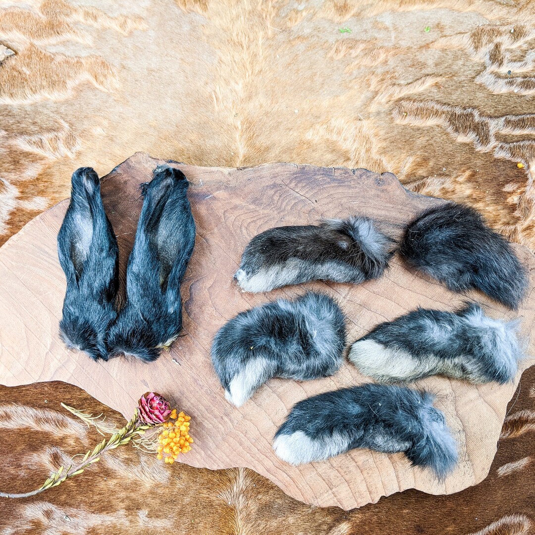 Rabbit Feet Tail & 4 Ears Taxidermy 1 Set of 7 Craft Fur Bunny ...