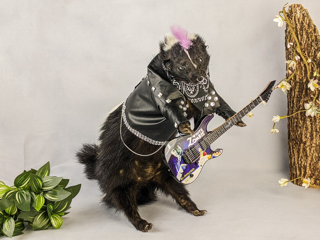 Br14 Punk Skunk Rocker Music Guitar Ska Taxidermy Oddities - Etsy