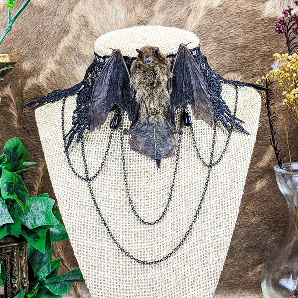 Taxidermy Jewelry - Etsy