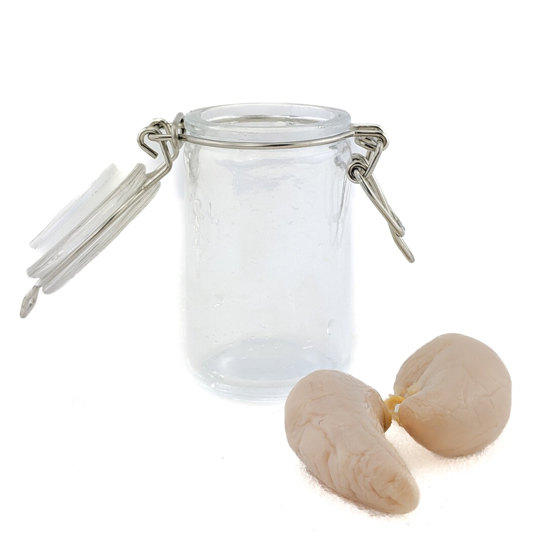 2 Turkey Testicals Wet Specimen Preserved Turkey Balls Display ...