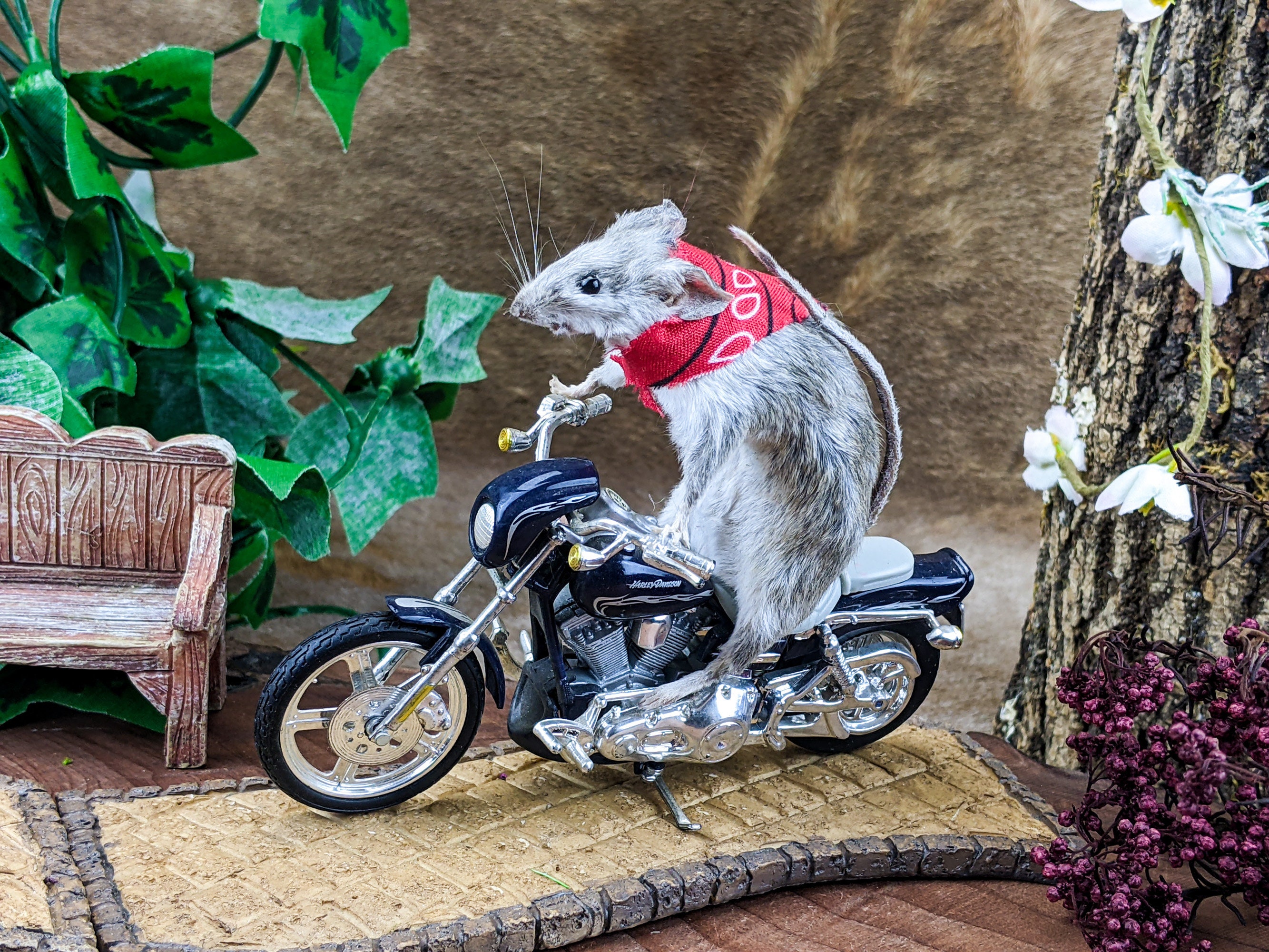 Hamster Harley Sportster