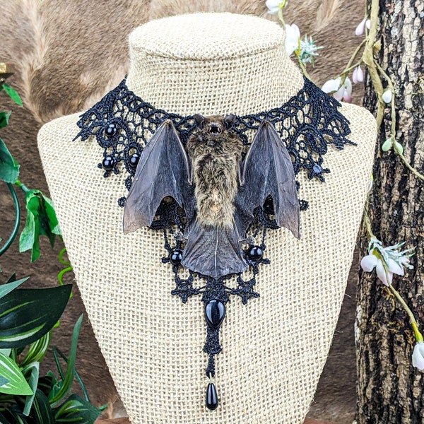 Taxidermy Jewelry - Etsy
