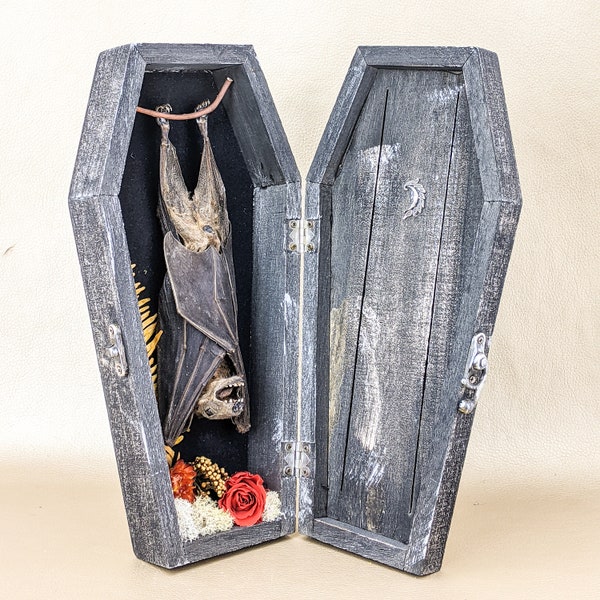 Bat Coffin - Etsy