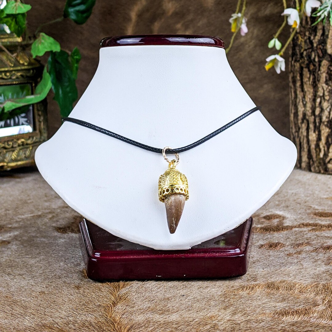 Dinosaur Tooth Real Mosasaur Reptile Fossil Dino Tooth Necklace Jewelry ...