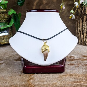 Real Mosasaur Tooth Necklace - Etsy