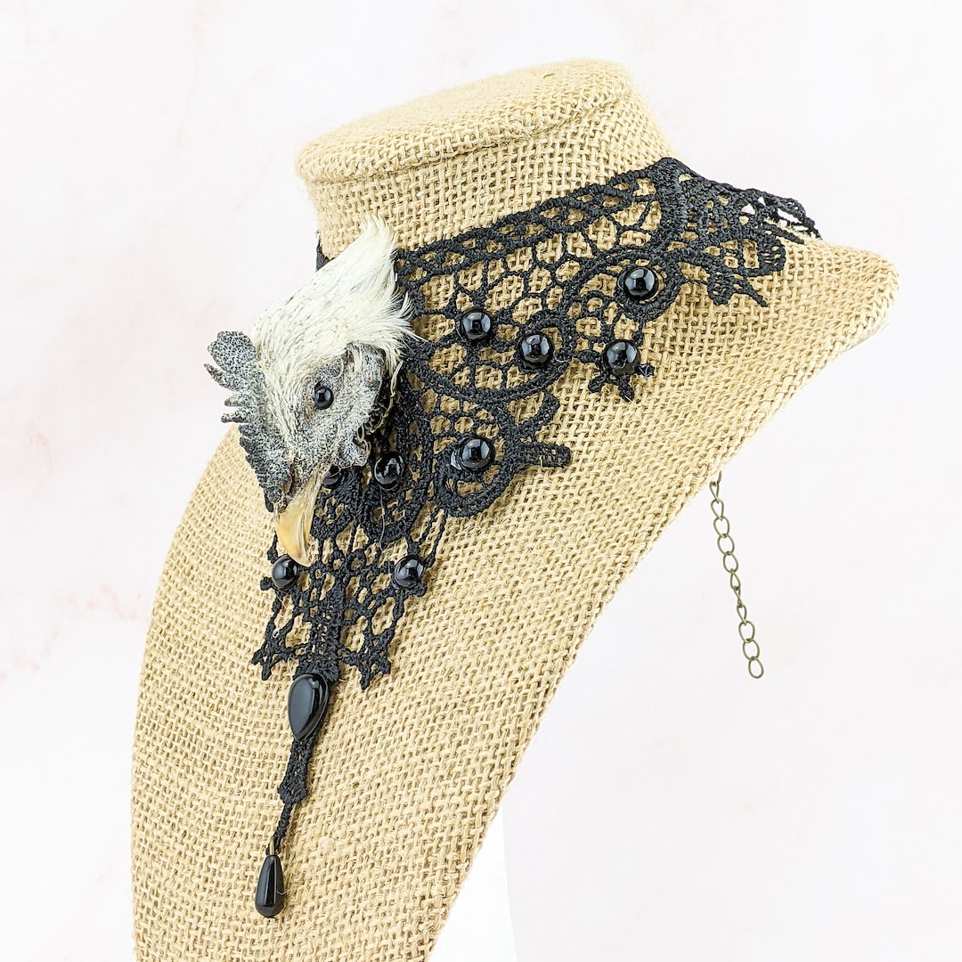 Chicken Head Taxidermy Oddities Curiosities Choker Necklace Gothic ...