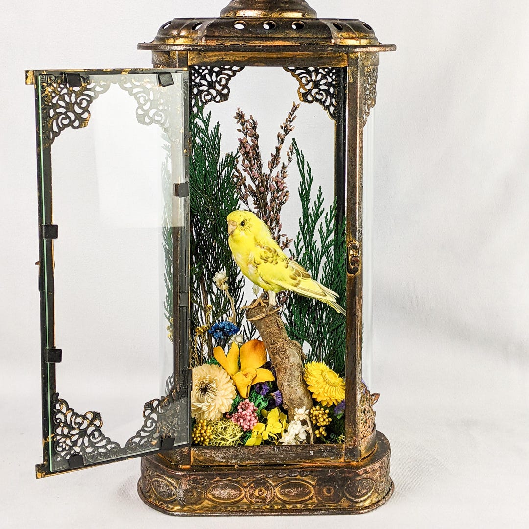 Parakeet Antique Victorian Style Display Collectible Decor Whimsical ...