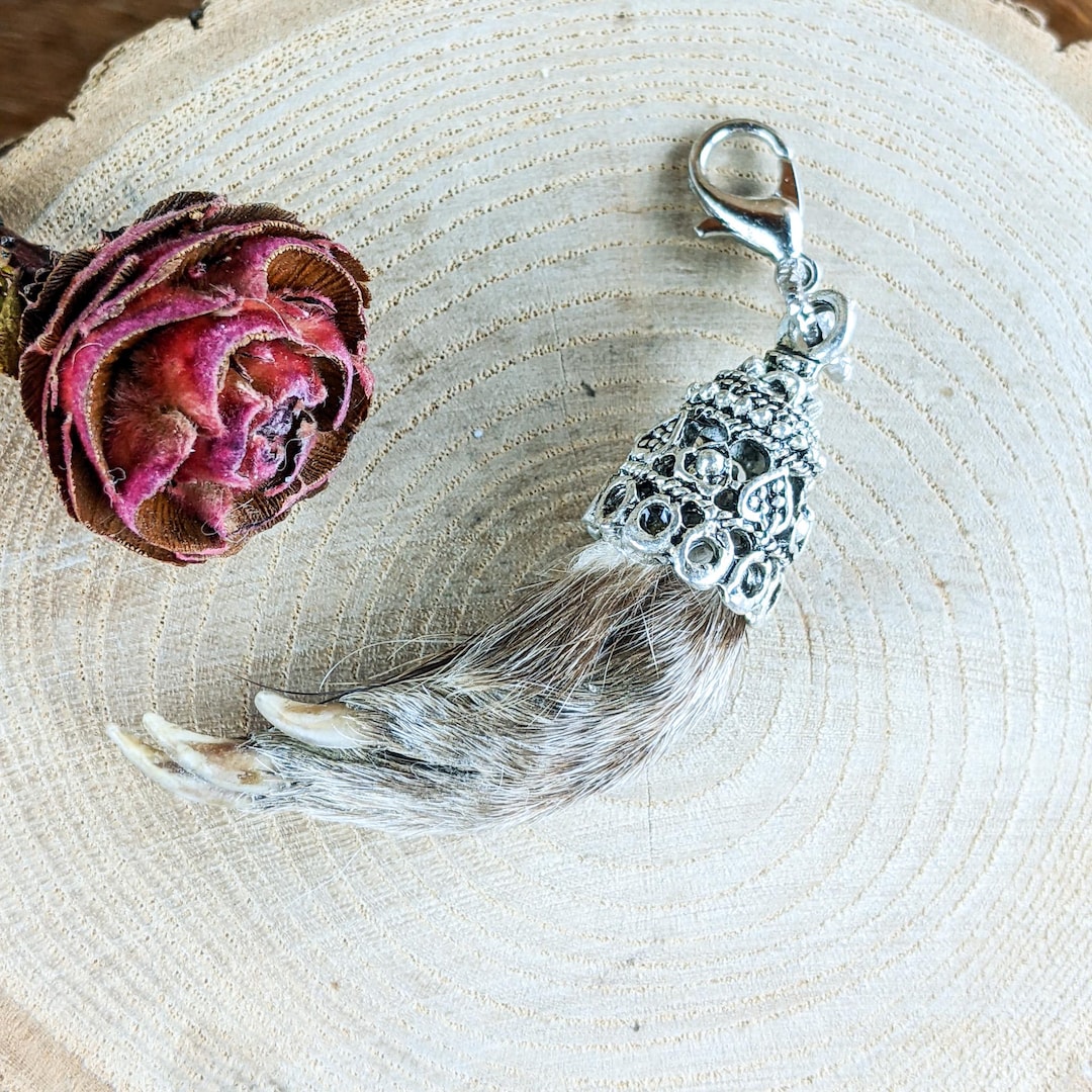 Muskrat Foot Taxidermy Lucky Charm Jewelry Bling Talisman Charivari ...