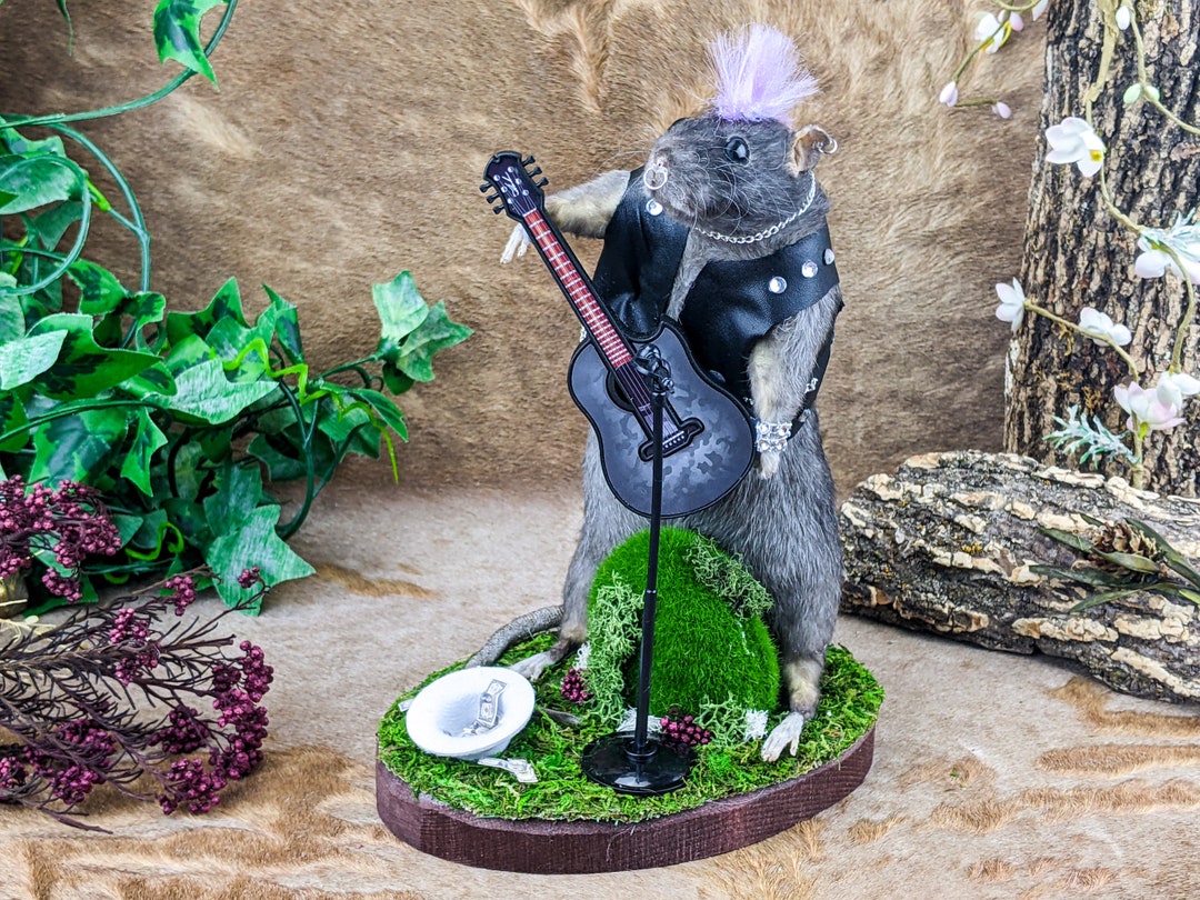 Punk Rock Rat Cute Taxidermy Oddities Curiosities Mohawk Rocker Display ...