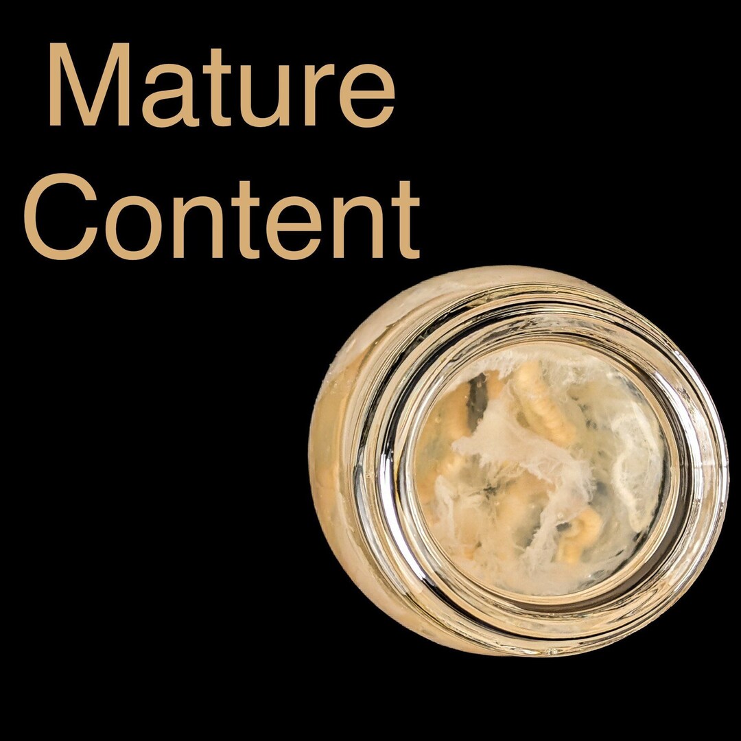 JF1 Jellyfish Wet Specimen Oddities Curiosities Nautical Glass Jar ...