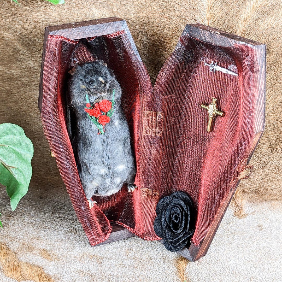 Coffin Mouse Macabre Funeral Taxidermy Anthropomorphic Collectible ...