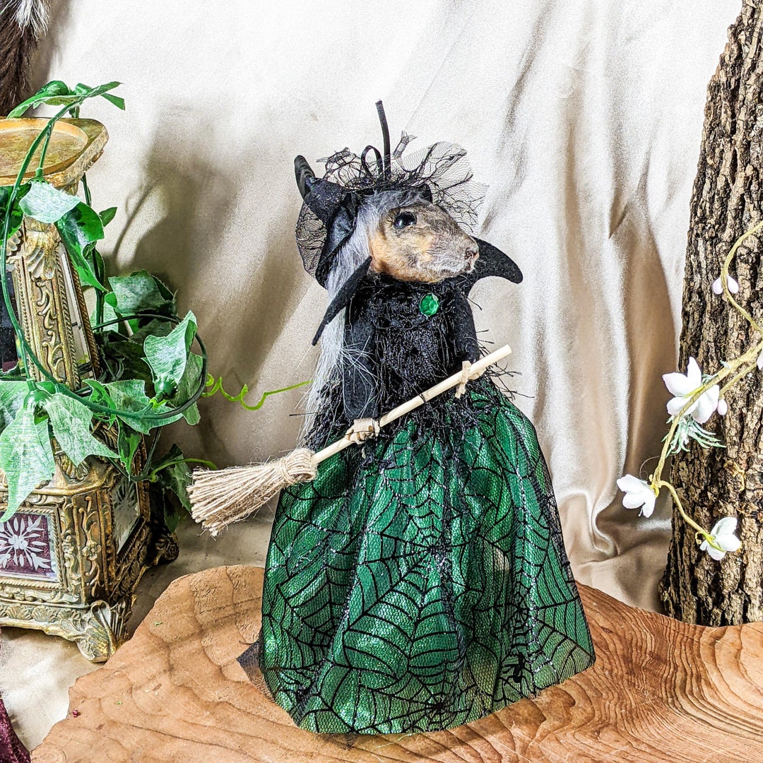Rat Witch Taxidermy Oddities Curiosities Halloween Taxidermy Display ...