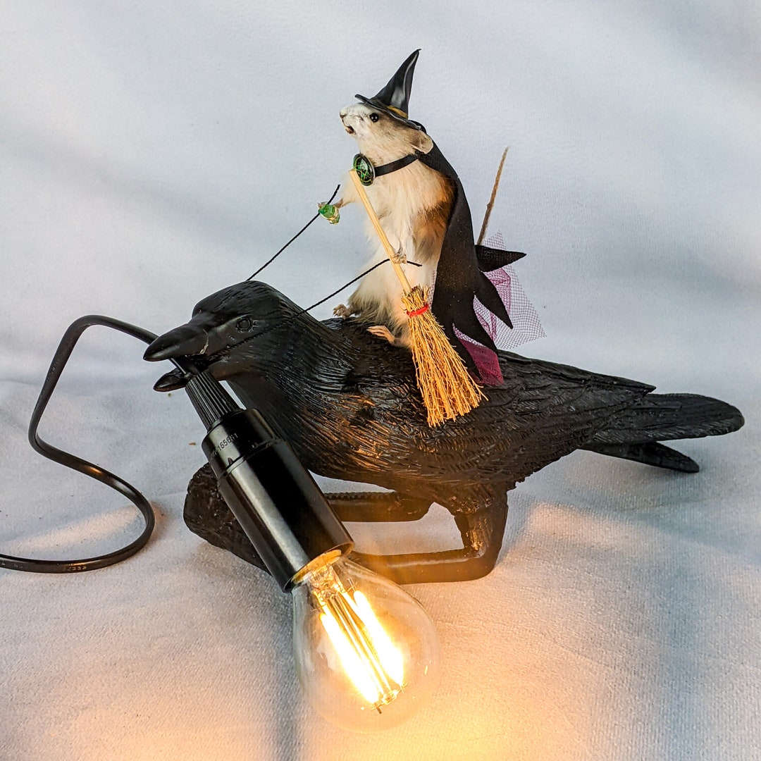 Mouse Witch Taxidermy Riding Crow Light Fixture Taxidermy Oddities ...
