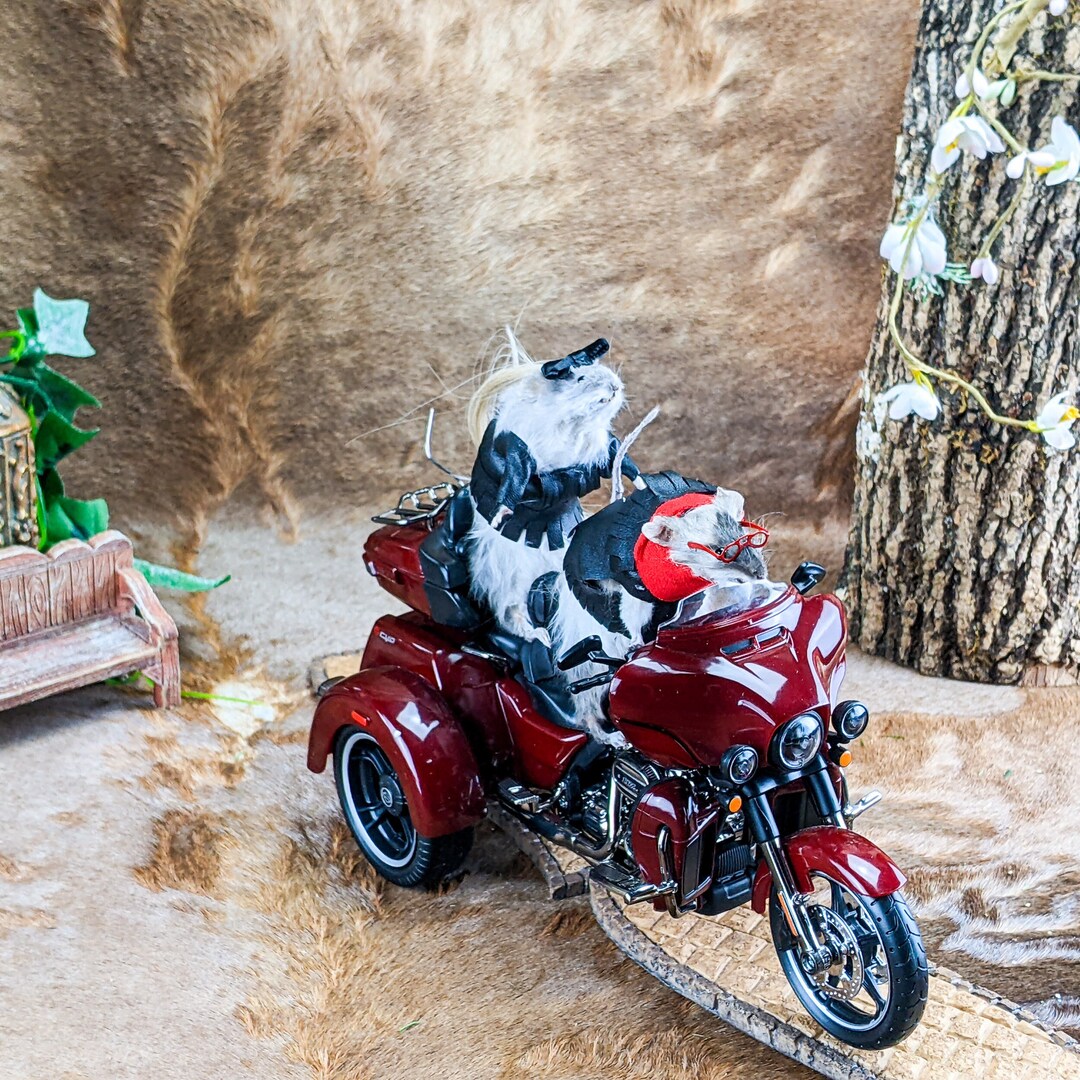 A37J Motorcycle Biker Mouse Couple Biker Chopper Taxidermy Oddity ...
