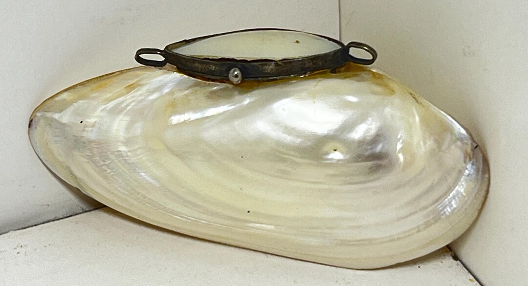 Vintage Mother of Pearl Shell Snuff Box - Etsy