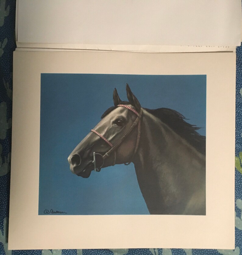 CW Anderson Portfolio of Horse Prints Look of a Thoroughbred - Etsy ...