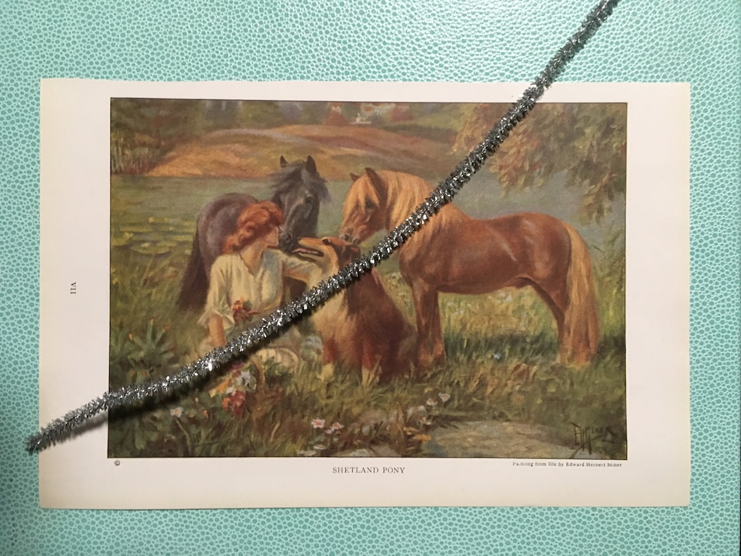 1923 Book Print Wall Art Edward Herbert Miner Shetland Pony - Etsy