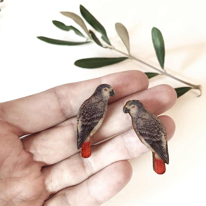 Parrot Pins - Etsy