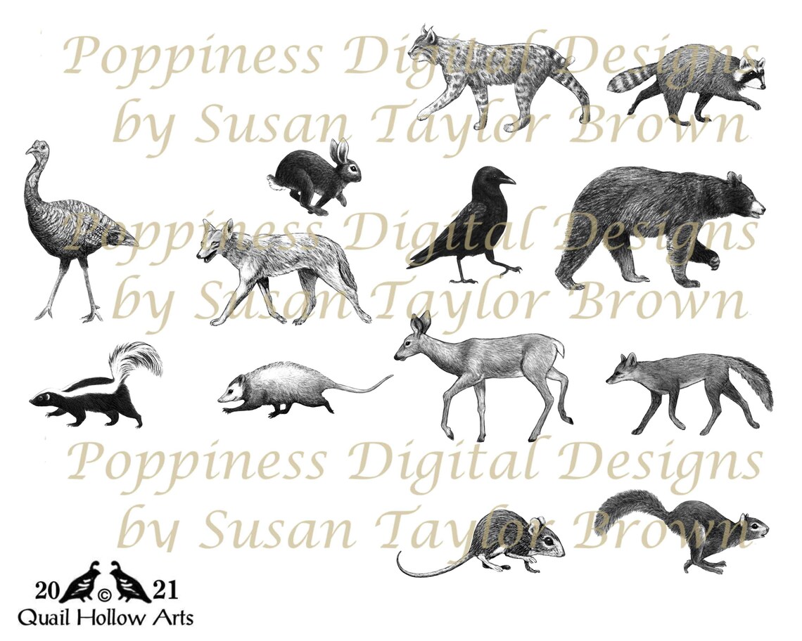 FOREST Animal Tracks Transparent PNG Digi Stamp for Junk Journal ...