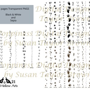 FOREST Animal Tracks Transparent PNG Digi Stamp for Junk Journal ...