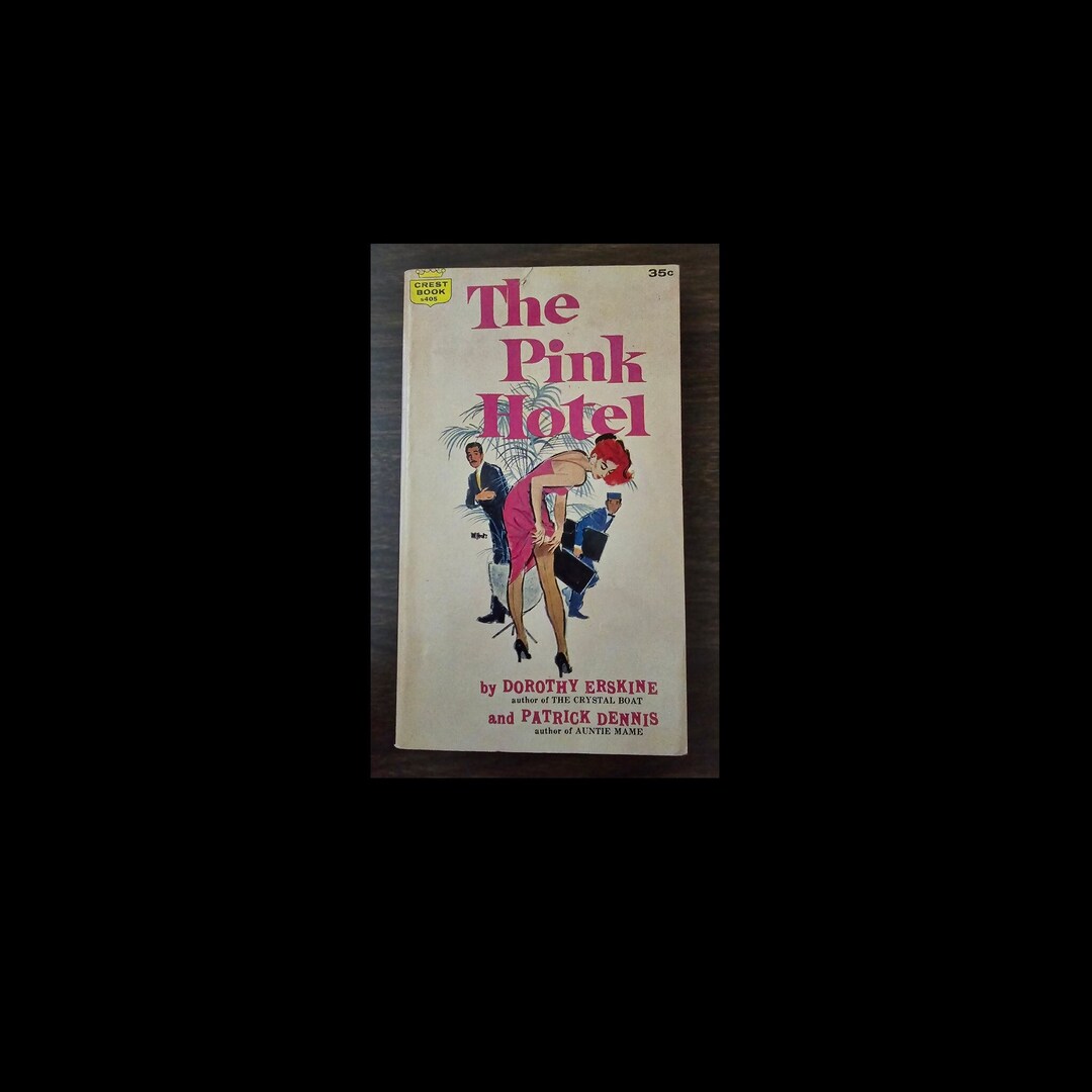 1960 Pulp Paperback the Pink Hotel by Dorothy Erskine and Patrick ...