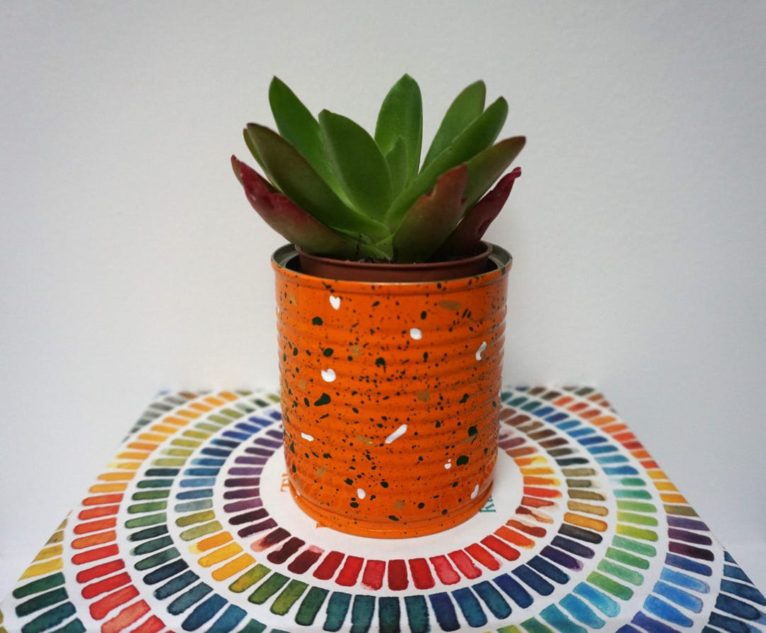 Plant Pot, Planter, Small Plant Pot, Metal Plant Pot, Multicolour Paint ...