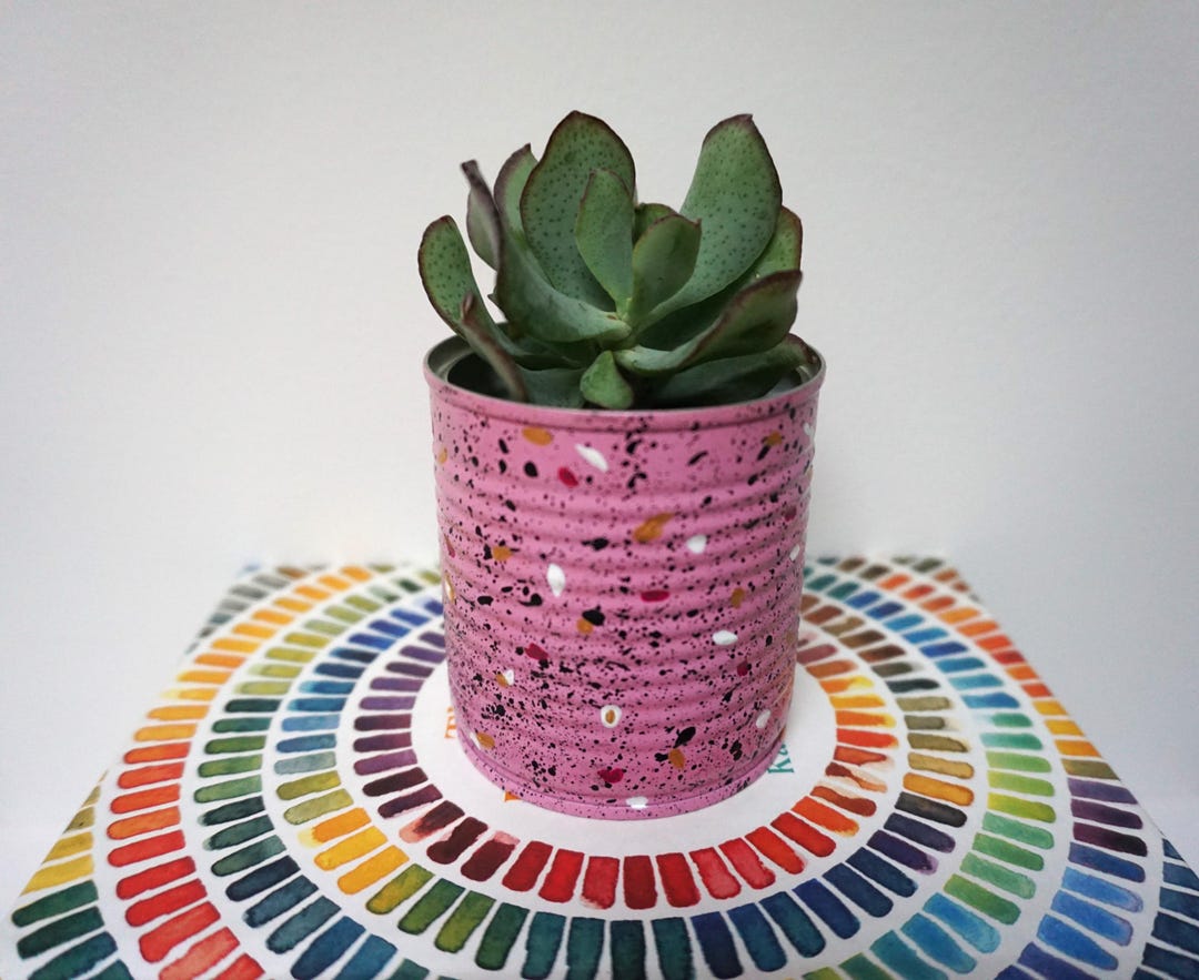 Plant Pot, Planter, Small Plant Pot, Metal Plant Pot, Multicolour Paint ...