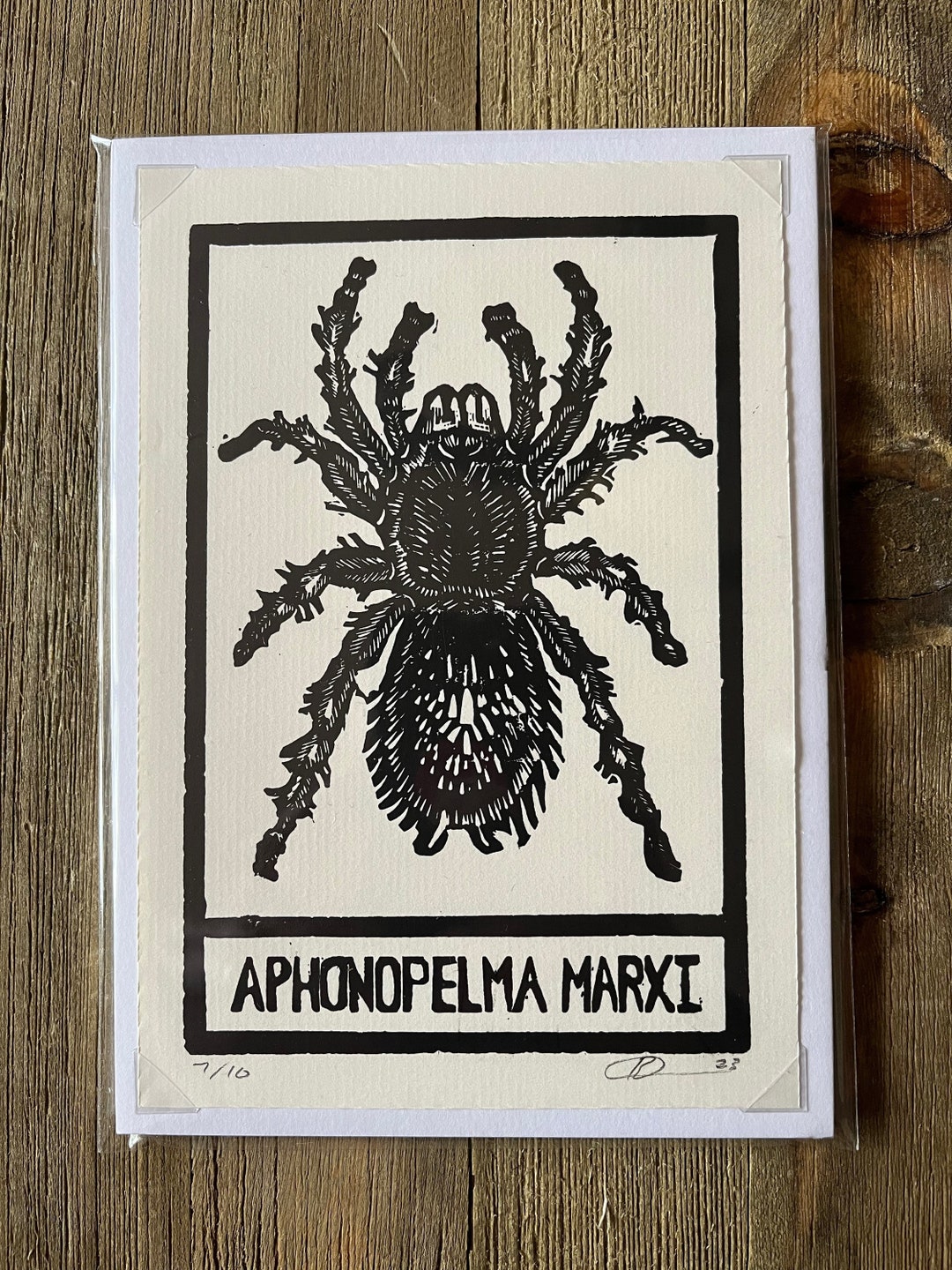 Aphonopelma Marxi tarantula Original Linocut Unframed, Signed by Artist ...