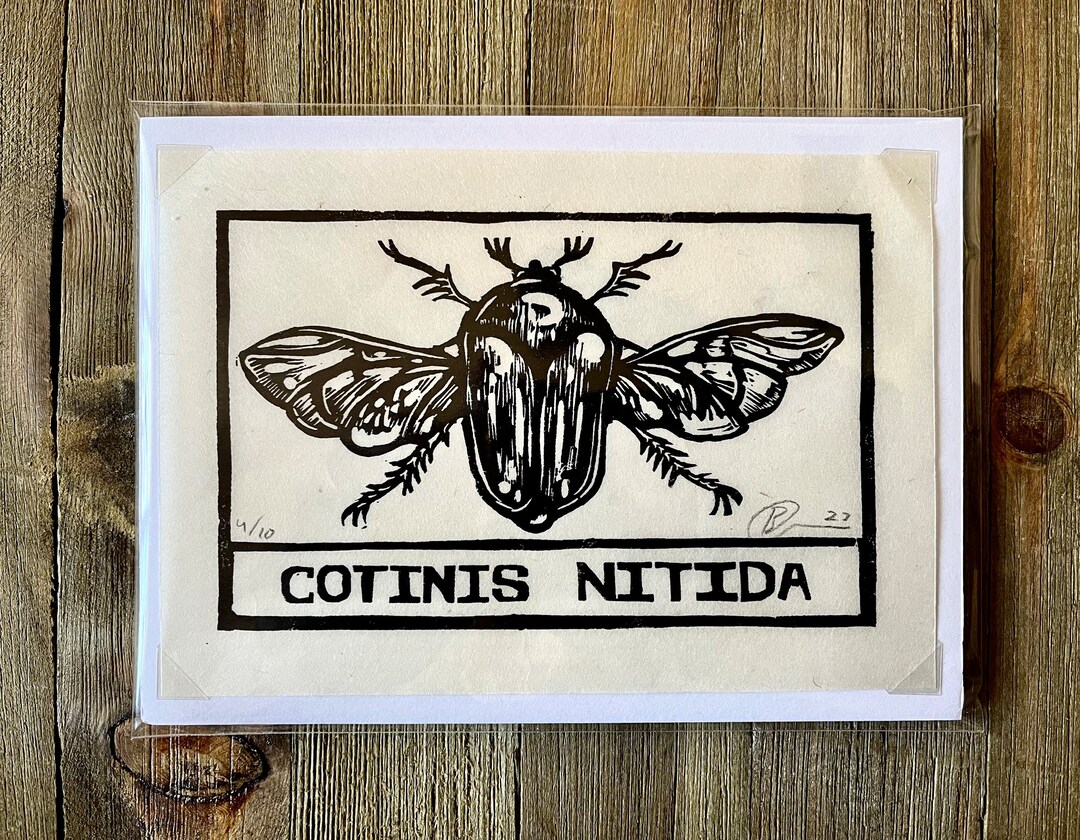 Original Linocut Print: Cotinis Nitida, or Green June Bug or June ...